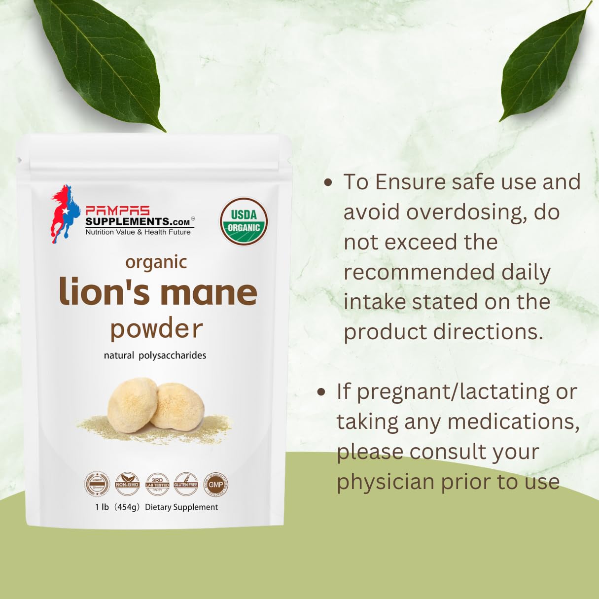 Mushroom powder for daily wellness