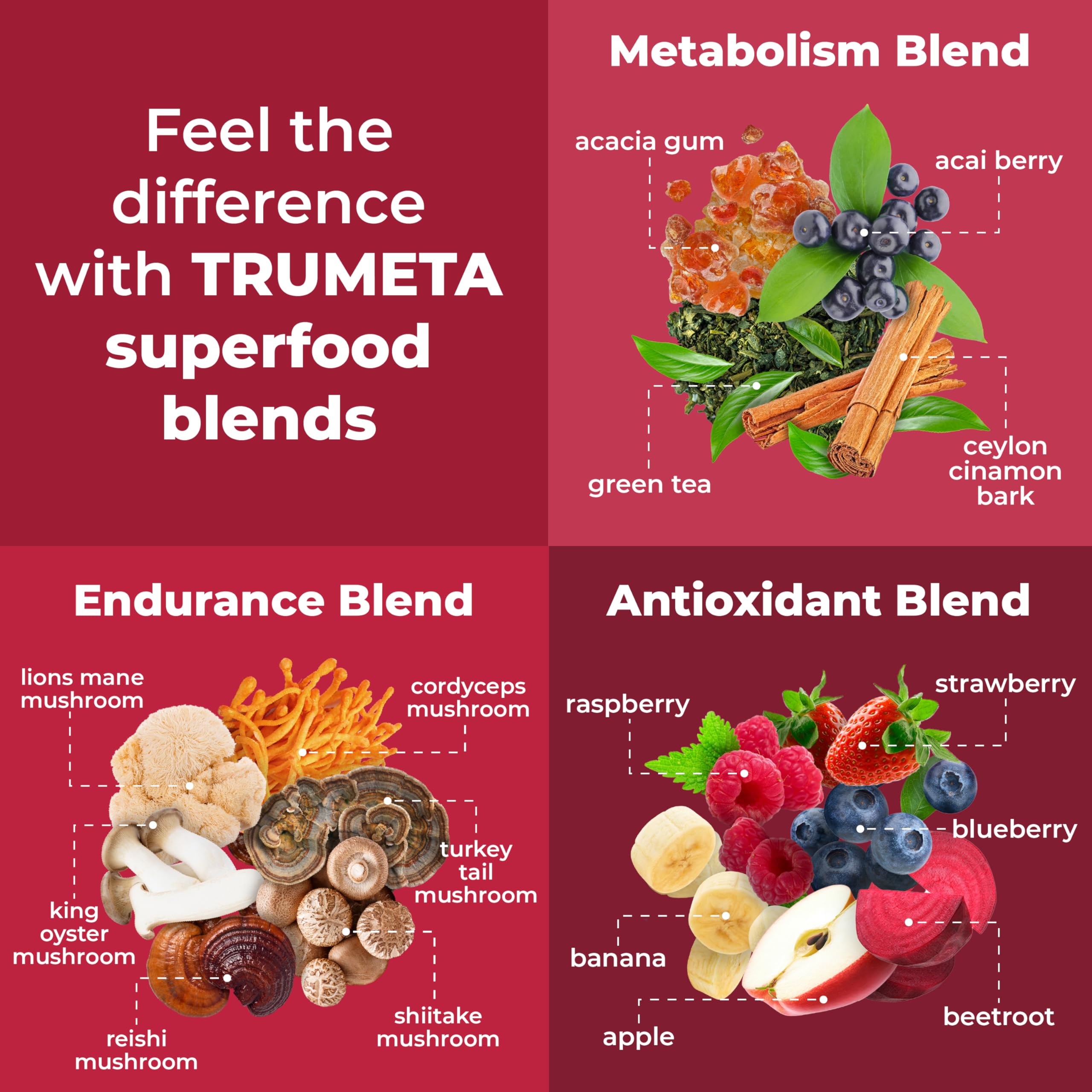 mushroom powder for daily wellness