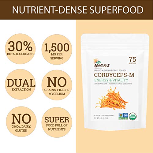 mushroom powder for daily wellness