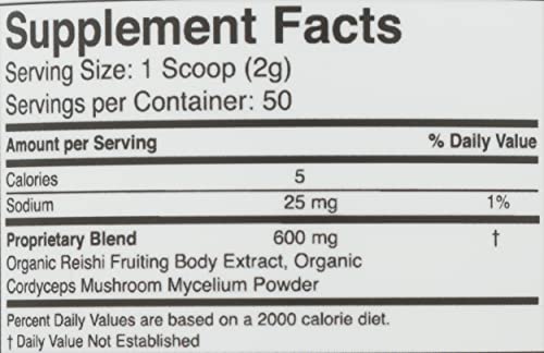 Mushroom powder for daily wellness
