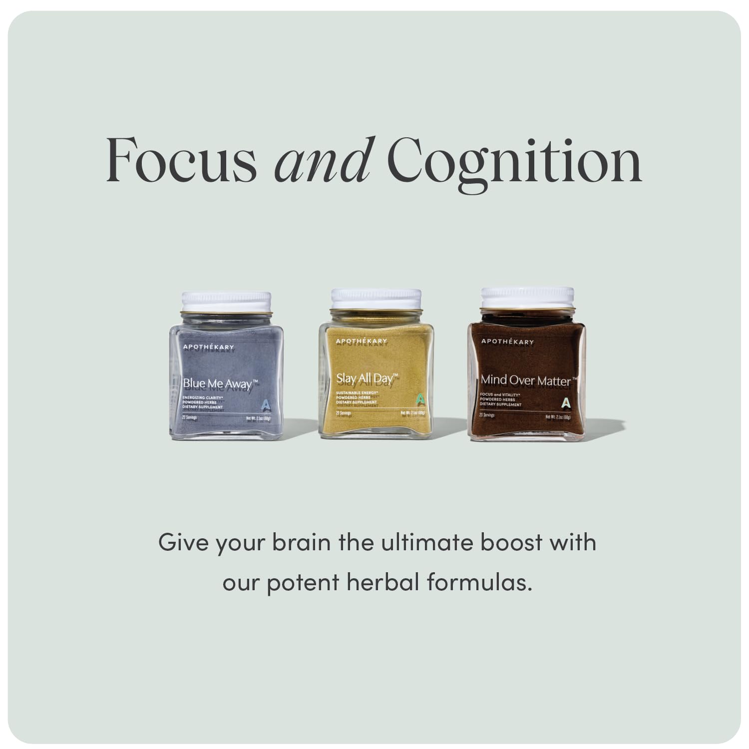 mushroom powder for daily wellness