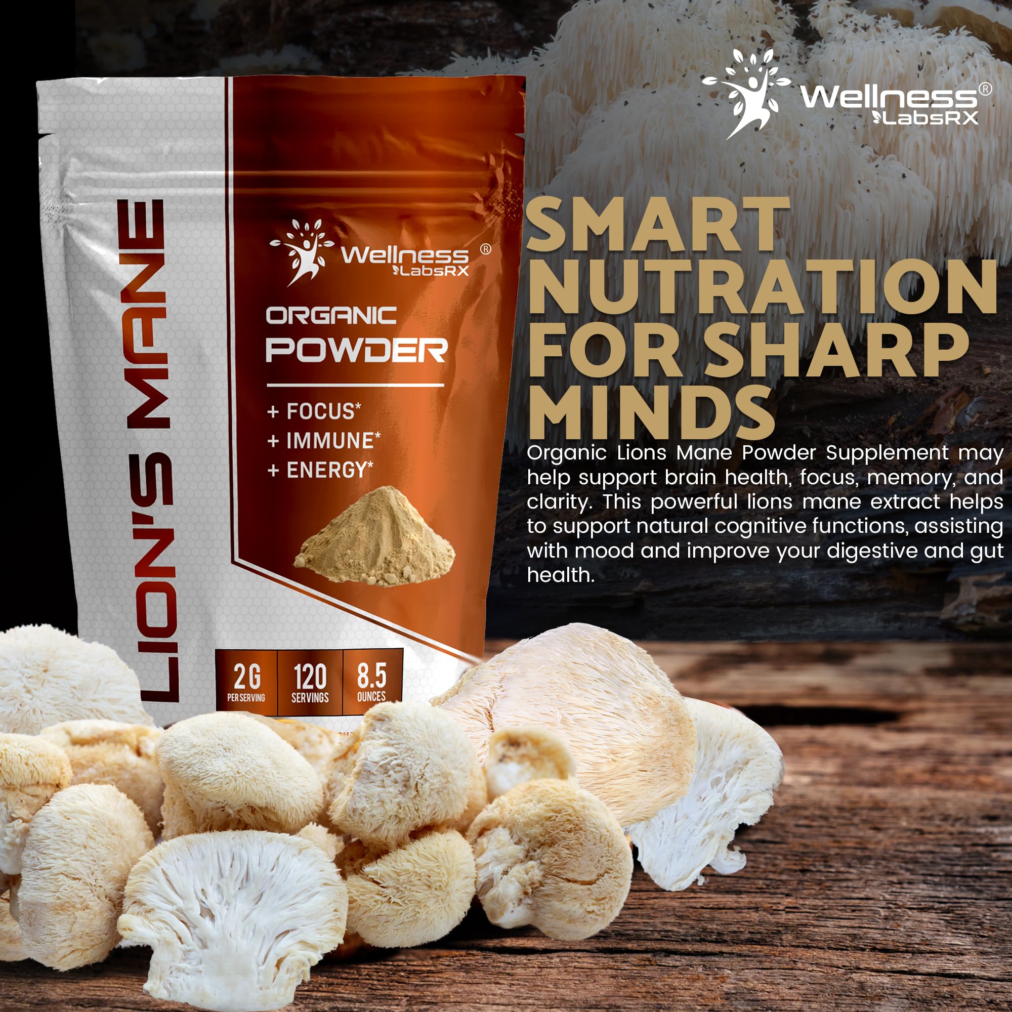mushroom powder for daily wellness