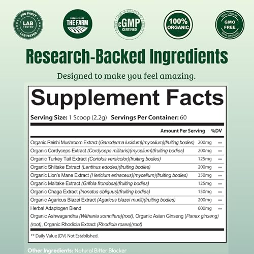mushroom powder for energy and focus