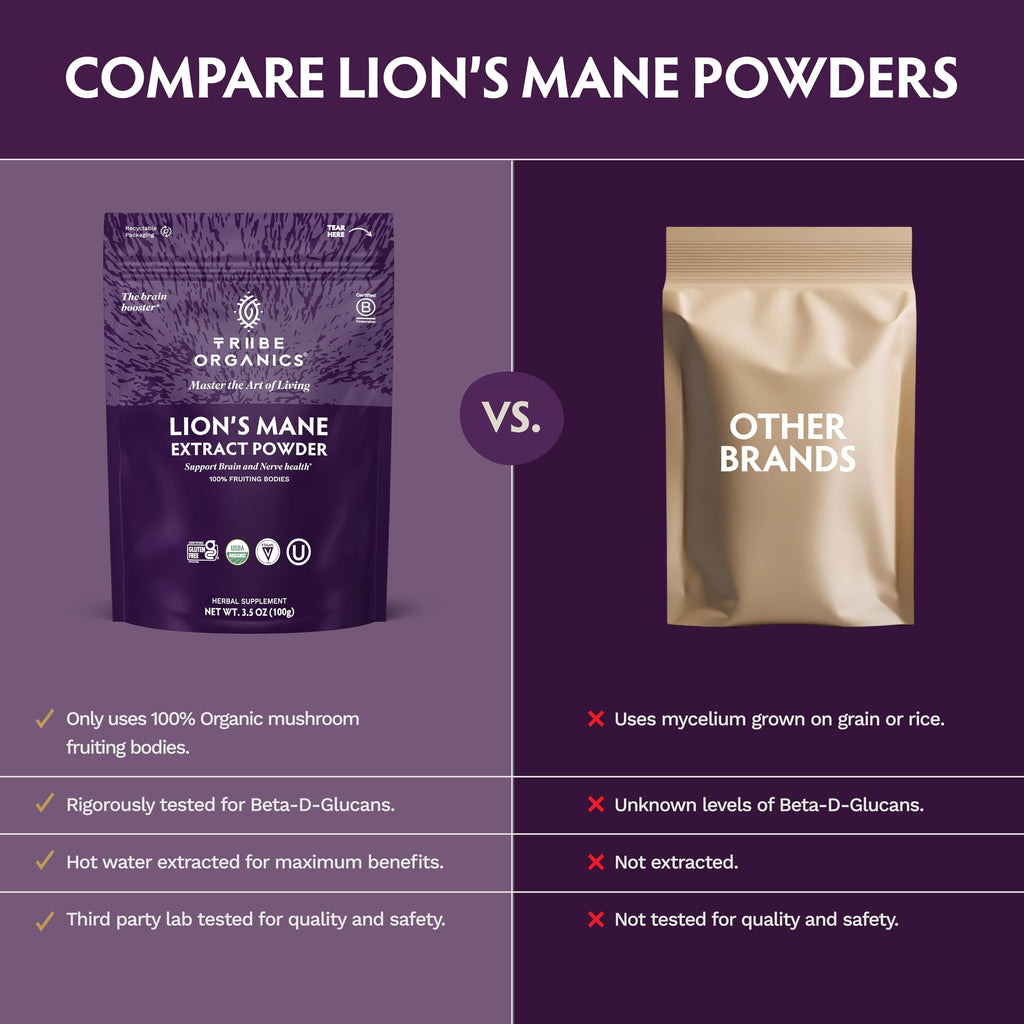 mushroom powder for energy support