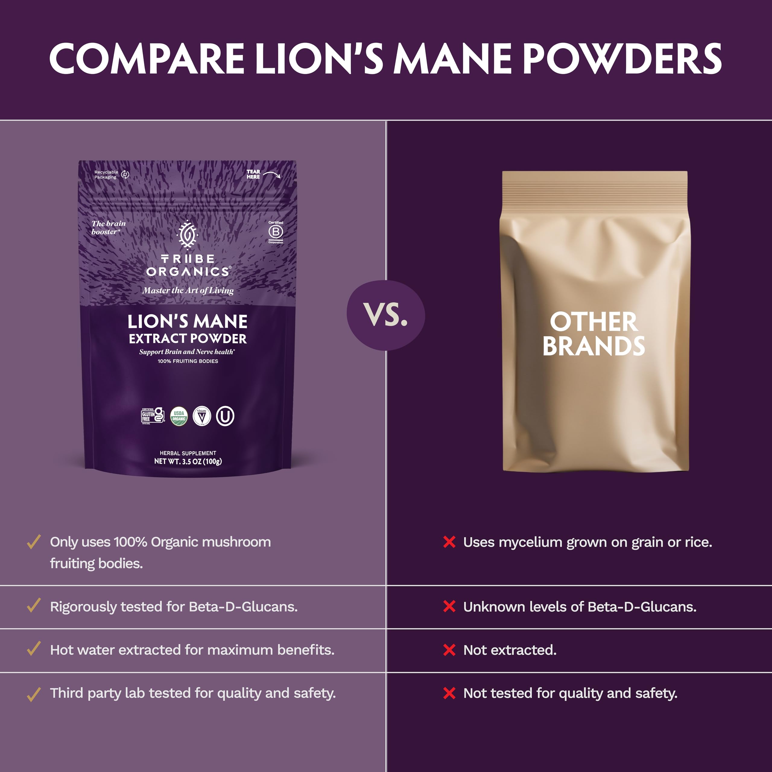 mushroom powder for energy support