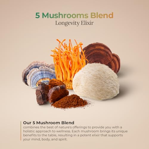 mushroom powder for energy