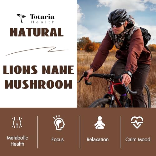 Mushroom powder for enhanced concentration