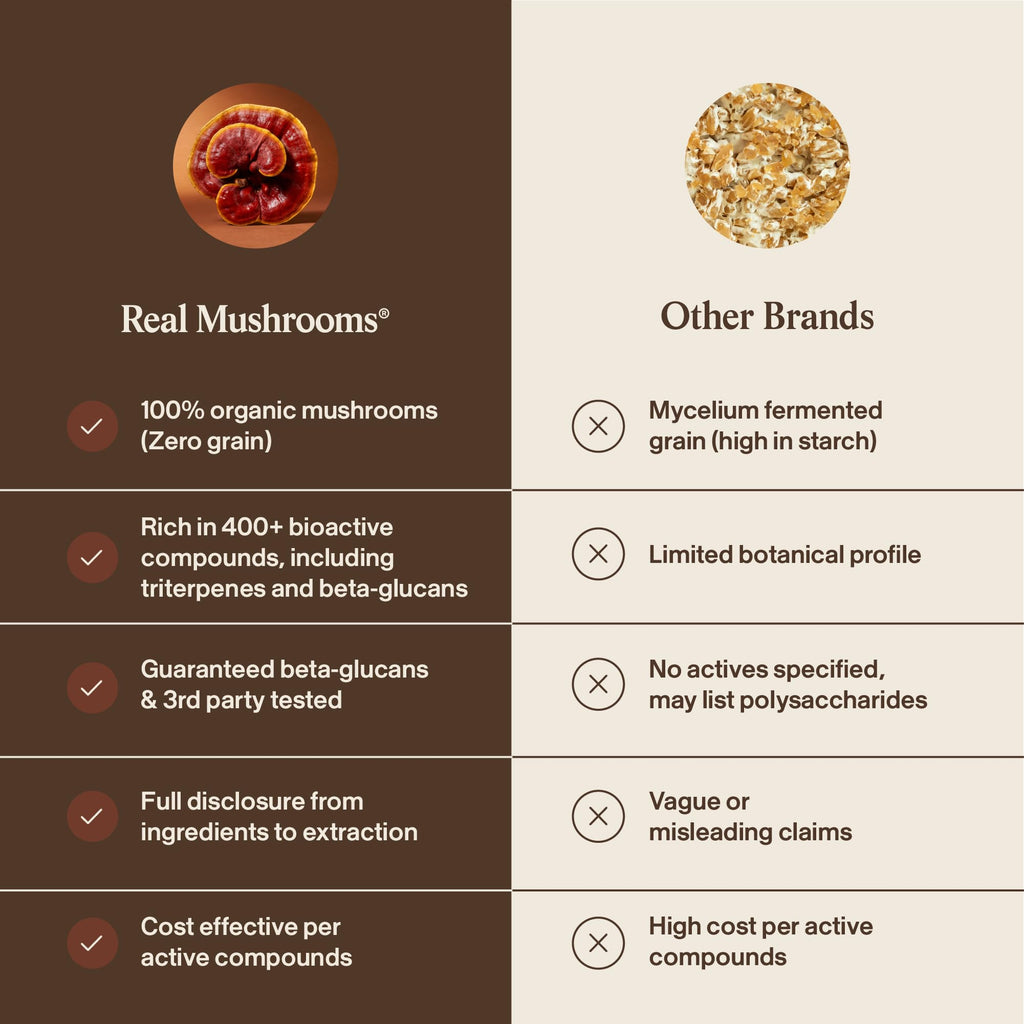 mushroom powder for enhanced focus
