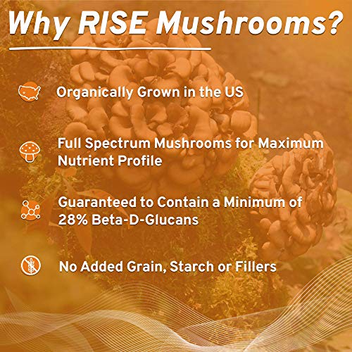 Mushroom powder for enhanced focus