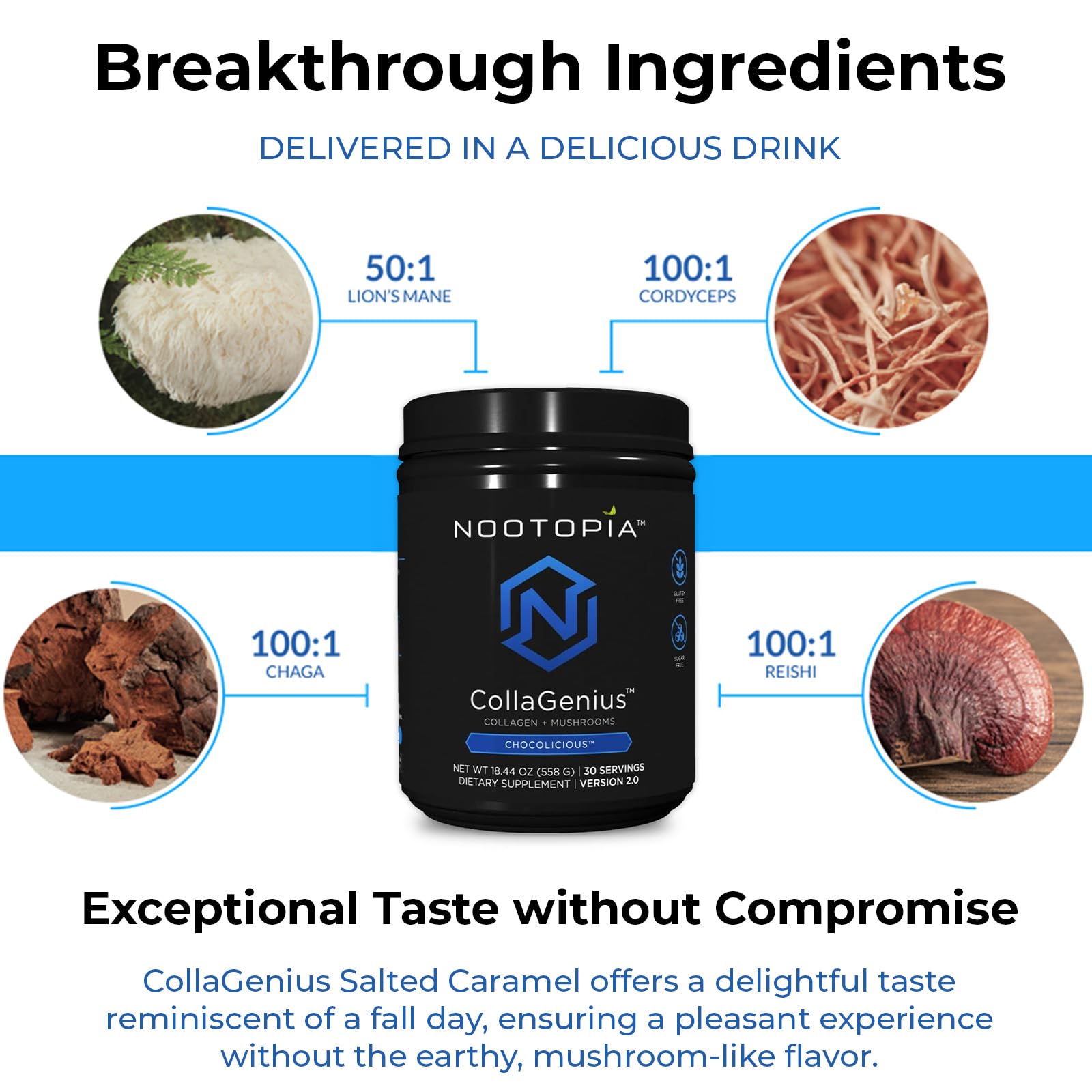 Mushroom powder for enhanced focus