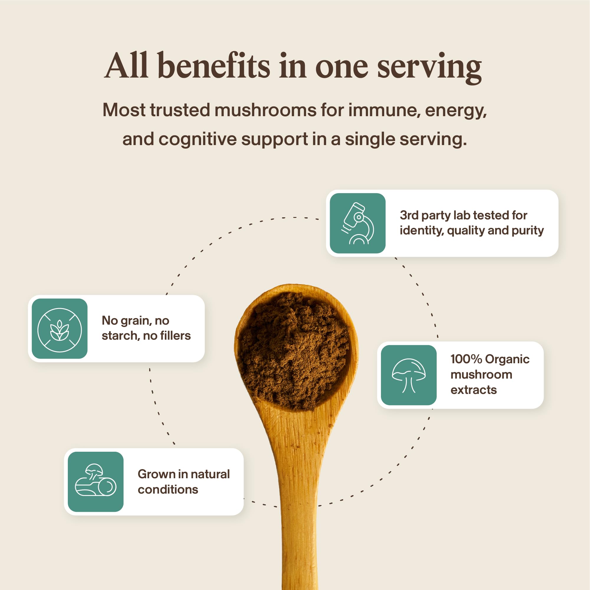 mushroom powder for enhanced focus