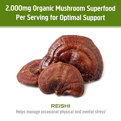 mushroom powder for enhanced immunity