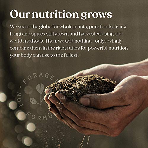 mushroom powder for enhanced performance