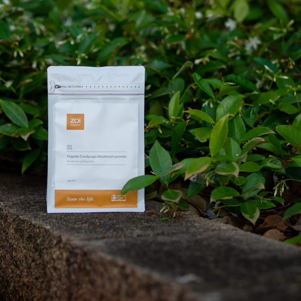 mushroom powder for enhanced performance
