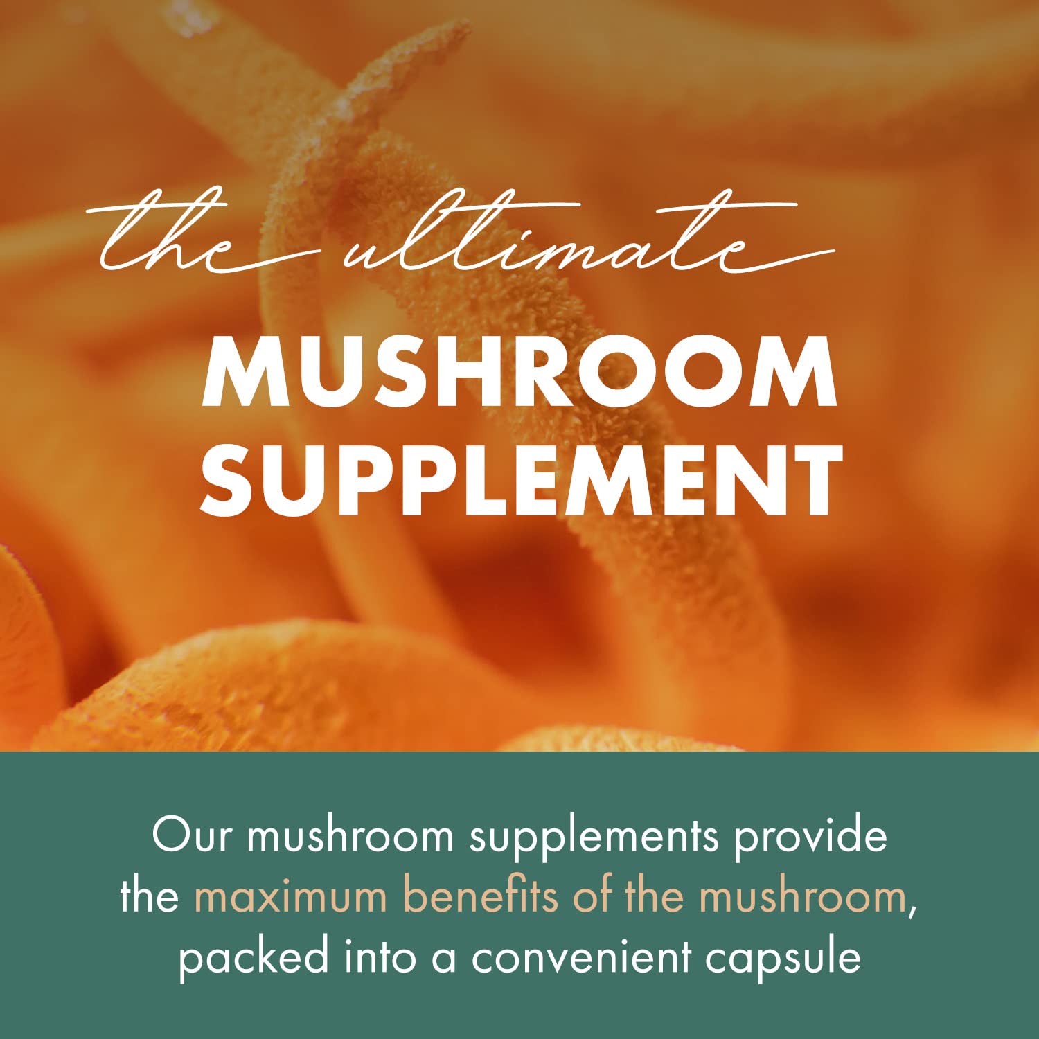 Mushroom powder for enhanced stamina