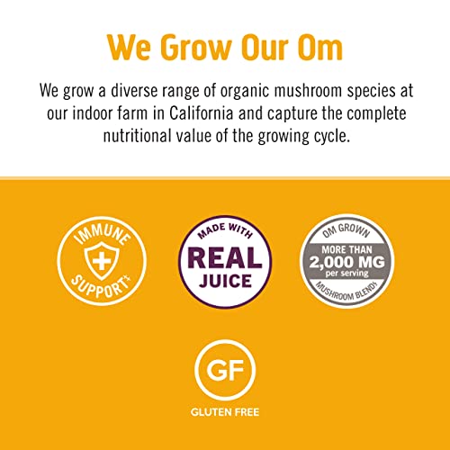 Mushroom powder for health enthusiasts