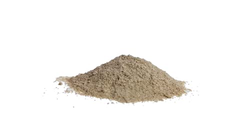 mushroom powder for healthy lifestyle