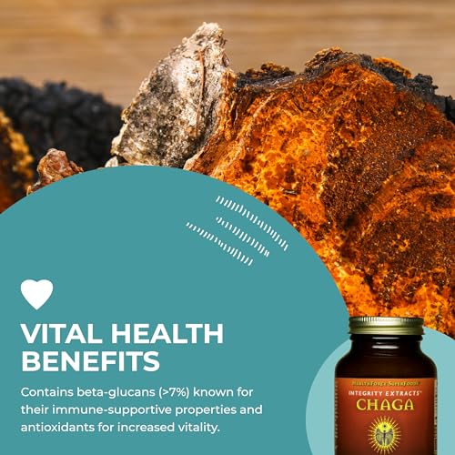 mushroom powder for healthy recipes