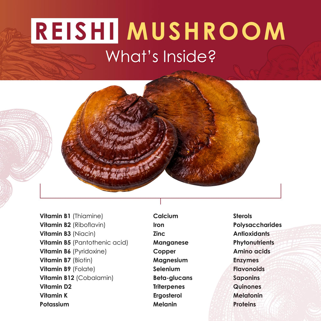 mushroom powder for holistic health