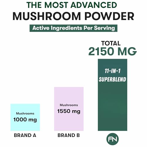 mushroom powder for holistic health