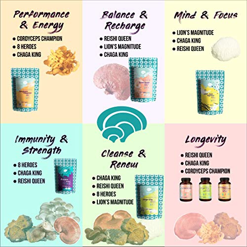 mushroom powder for holistic health
