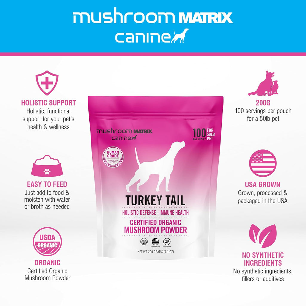 mushroom powder for immune support