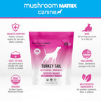 mushroom powder for immune support