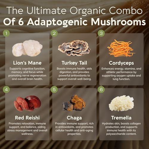 mushroom powder for immune support