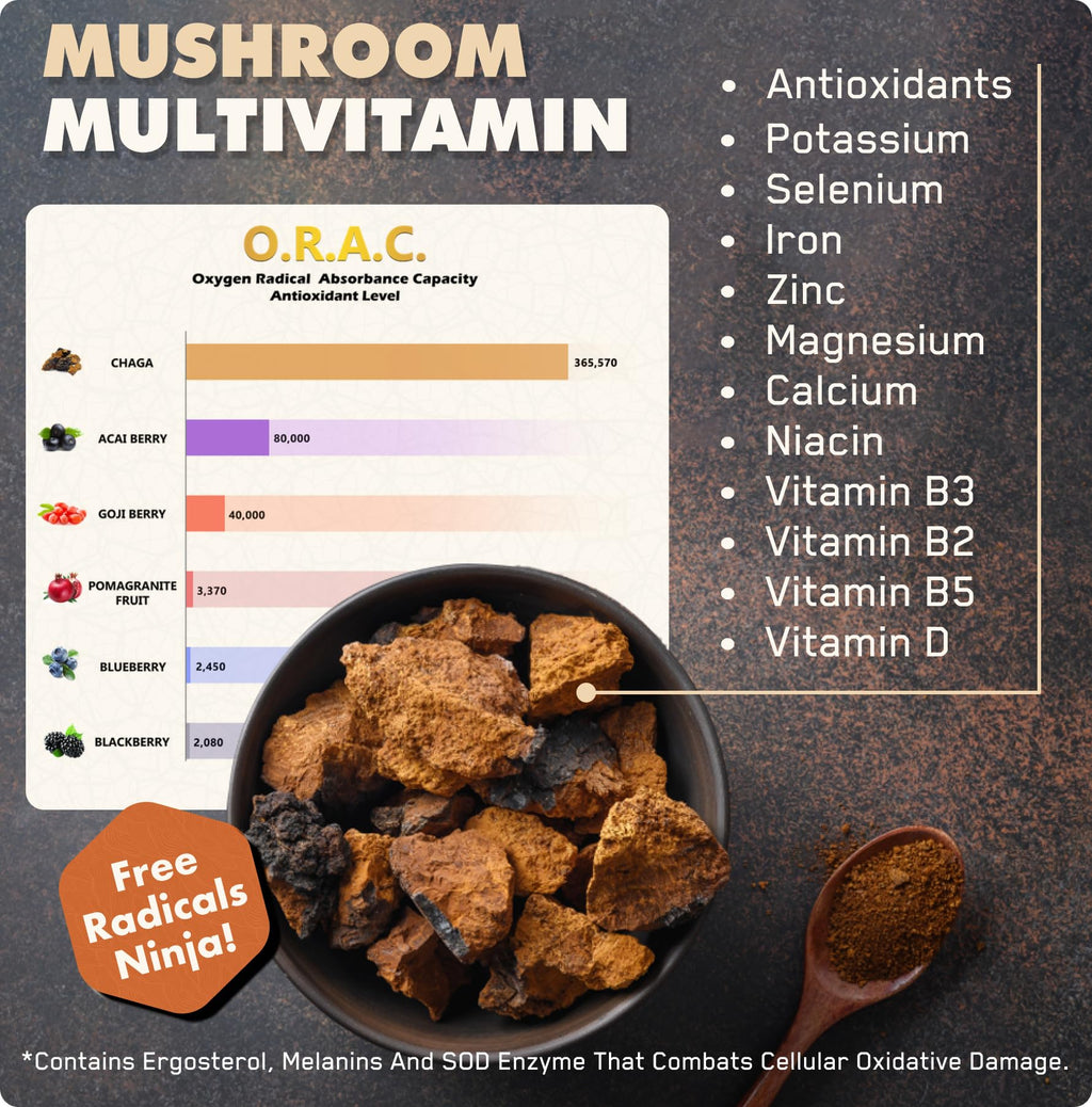 mushroom powder for immune support
