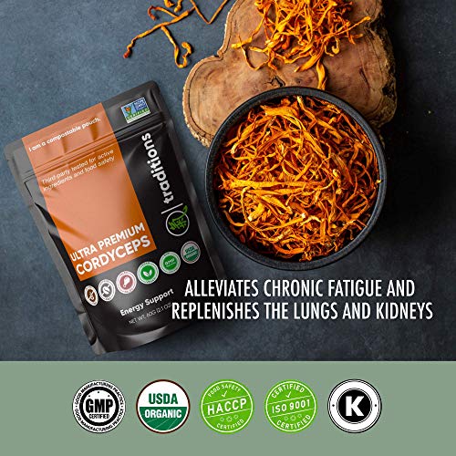 mushroom powder for immune support