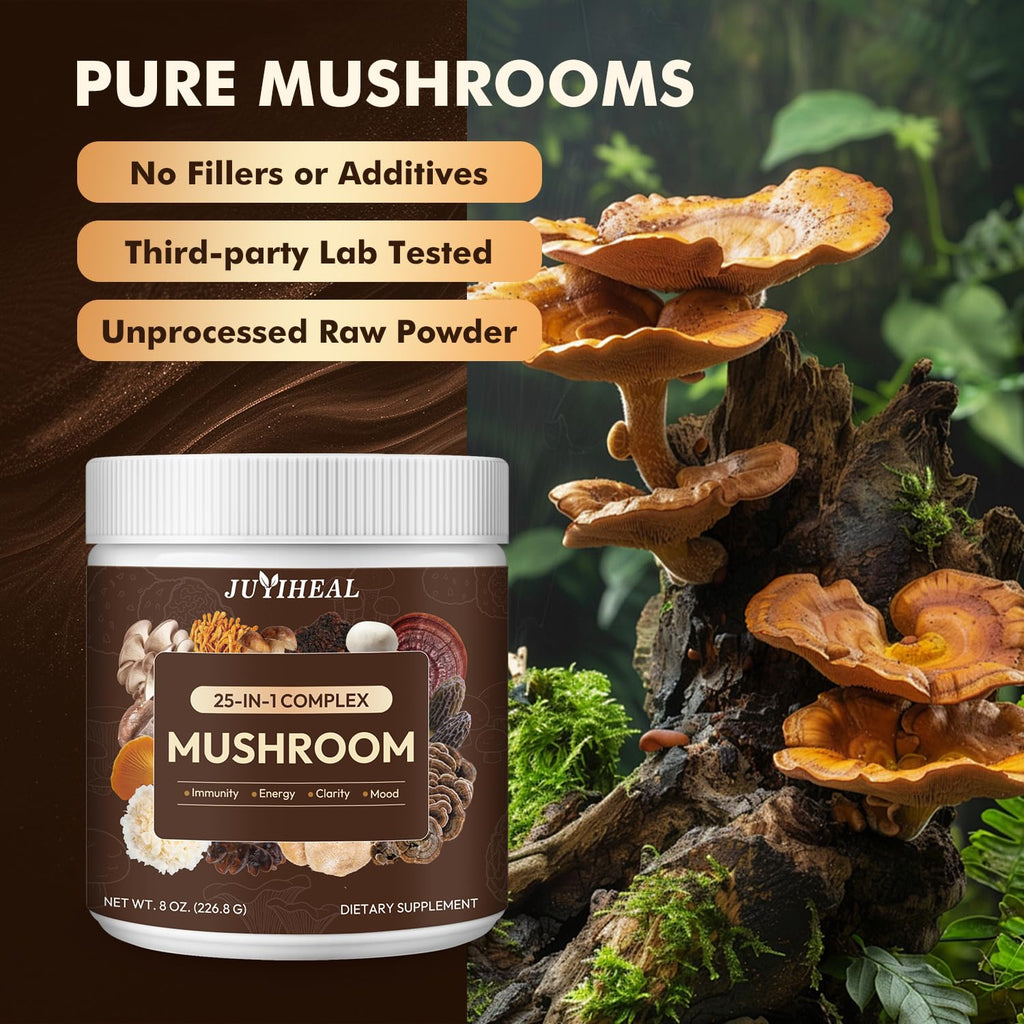 mushroom powder for immune support