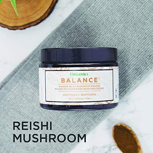 mushroom powder for immune support