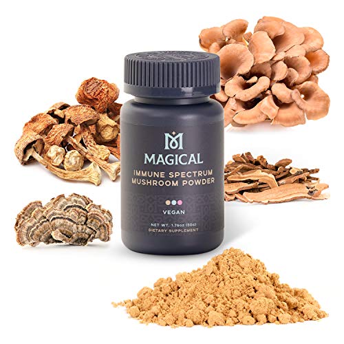 Mushroom powder for immune system health