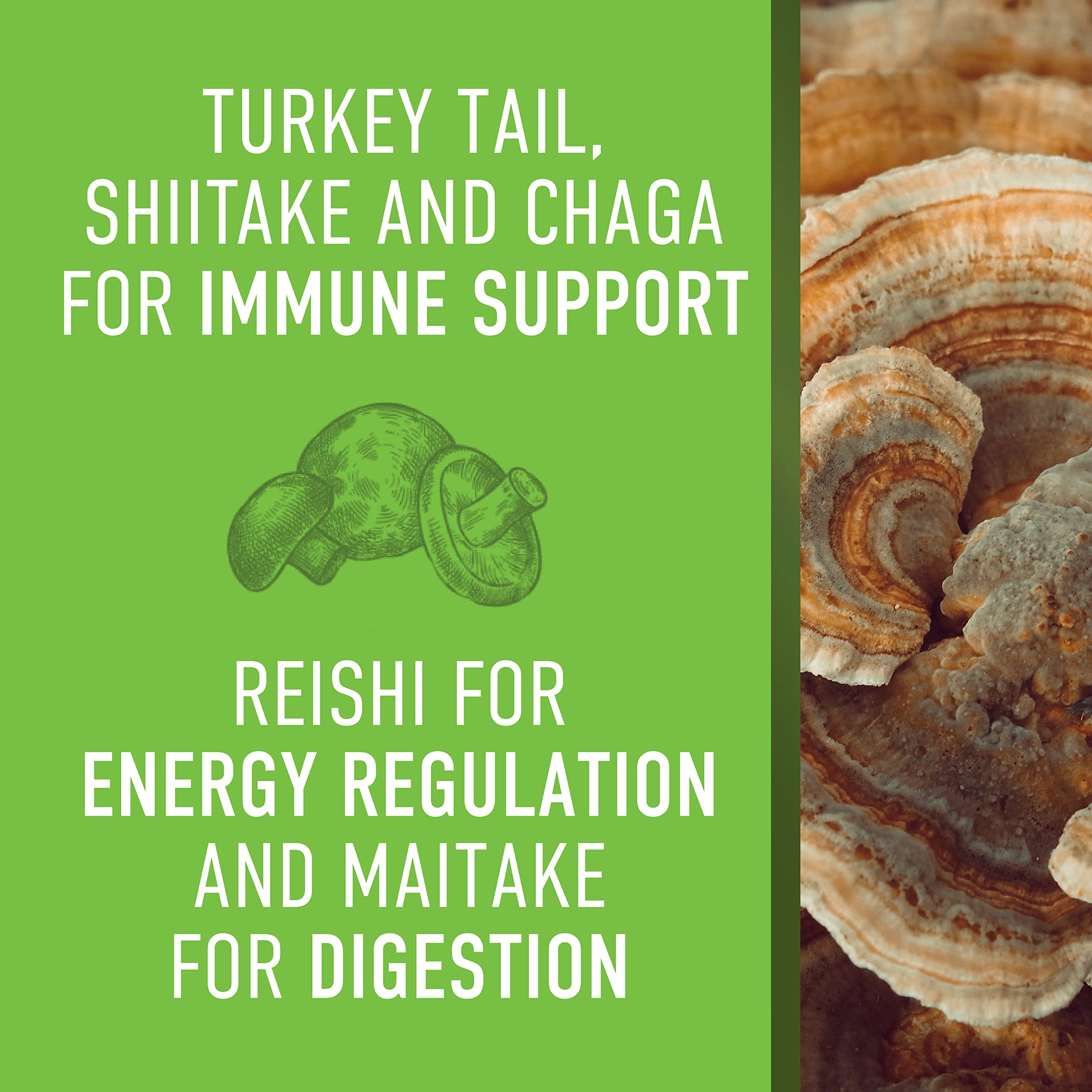 mushroom powder for immunity