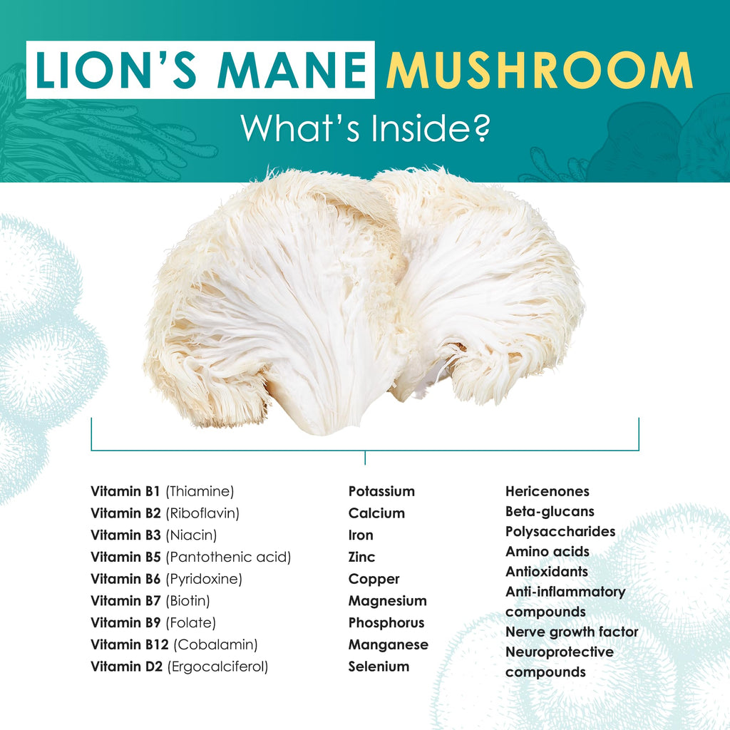 Mushroom powder for improved cognitive function