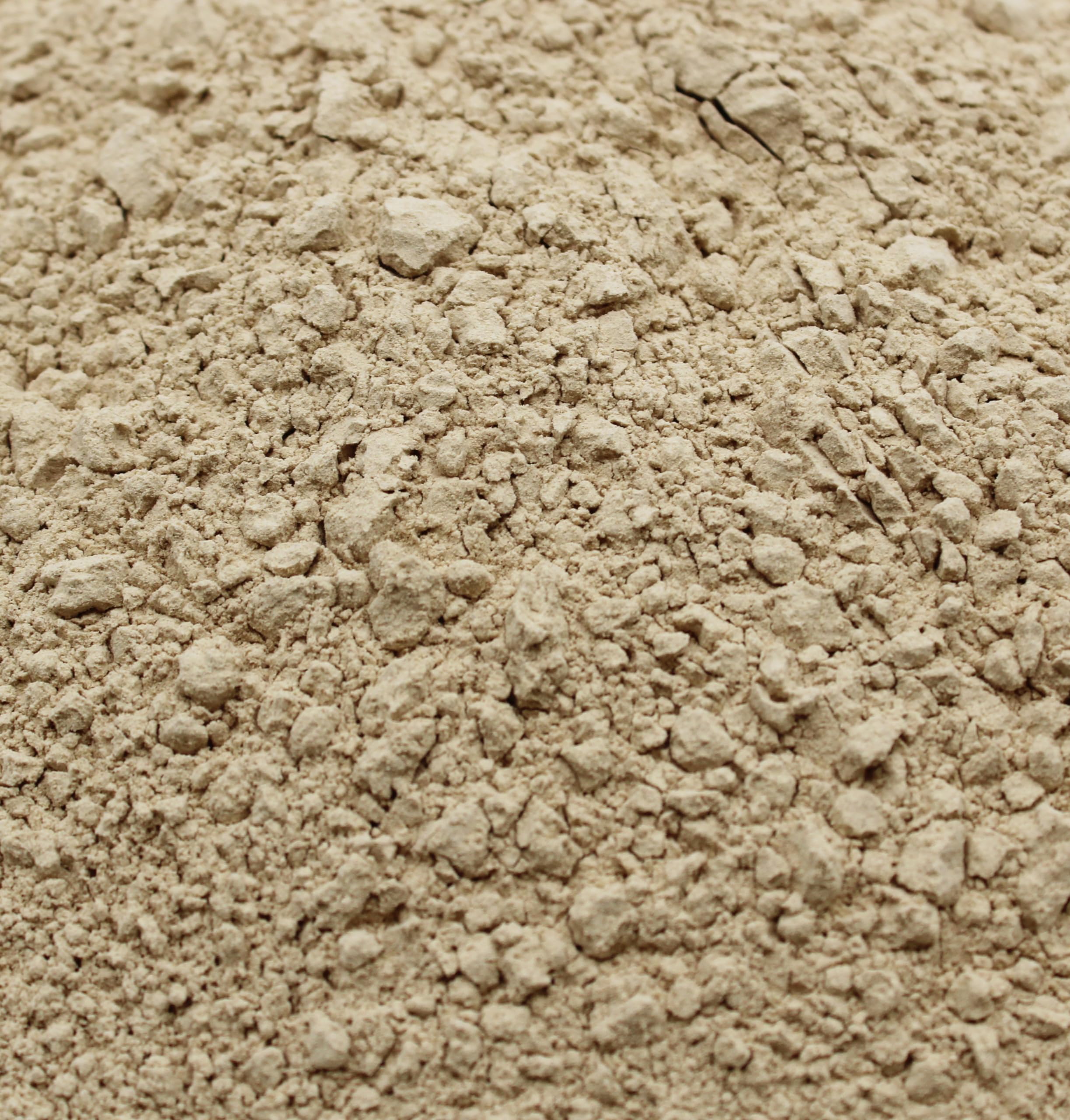 mushroom powder for lattes and coffee