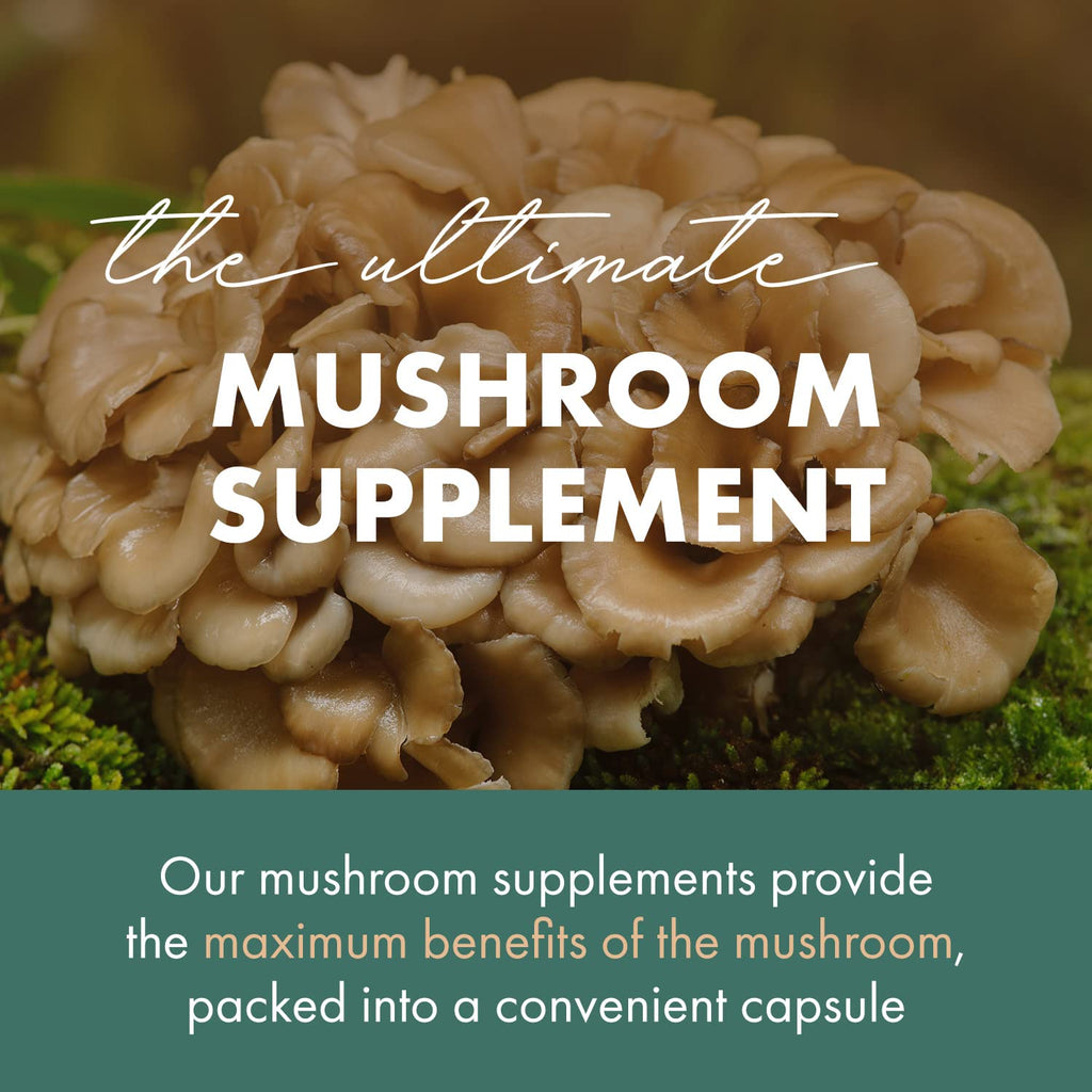 Mushroom powder for men and women