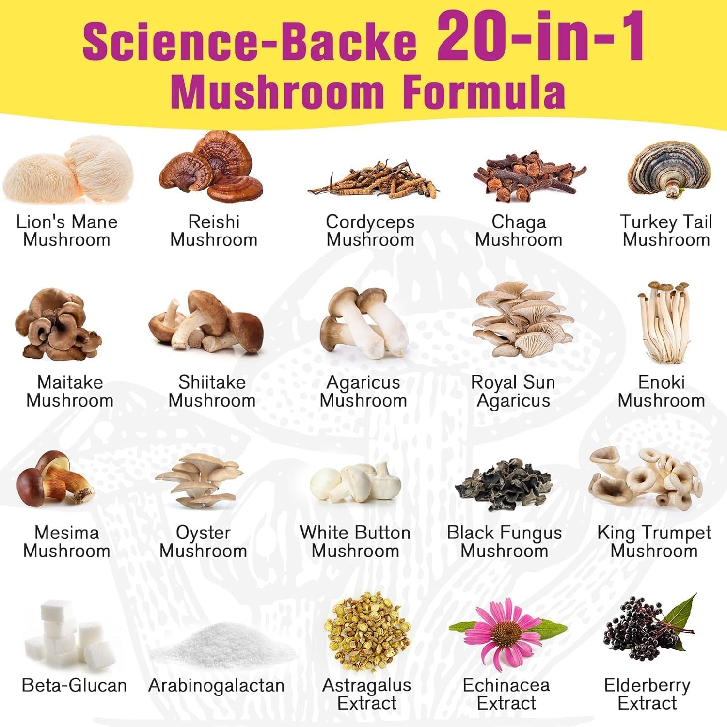 Mushroom powder for mental clarity