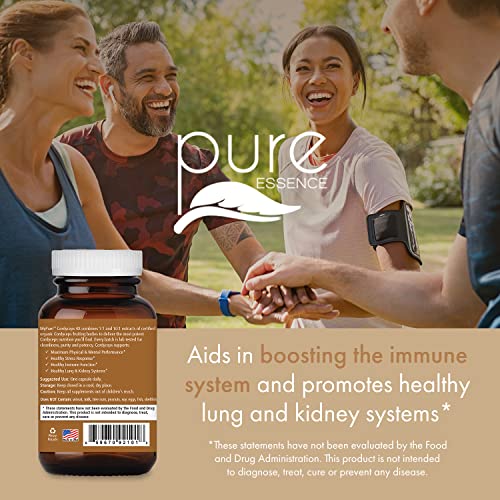Mushroom powder for mental clarity
