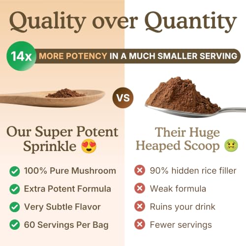 mushroom powder for natural energy