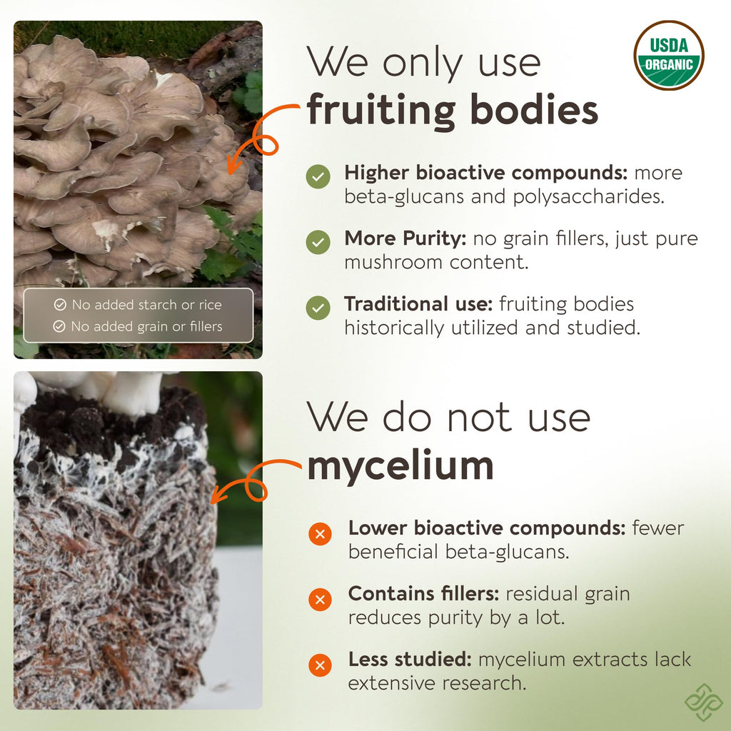 mushroom powder for natural energy