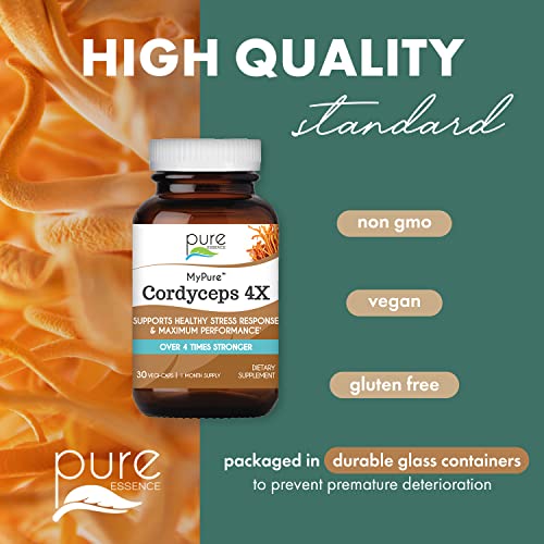 Mushroom powder for natural vitality