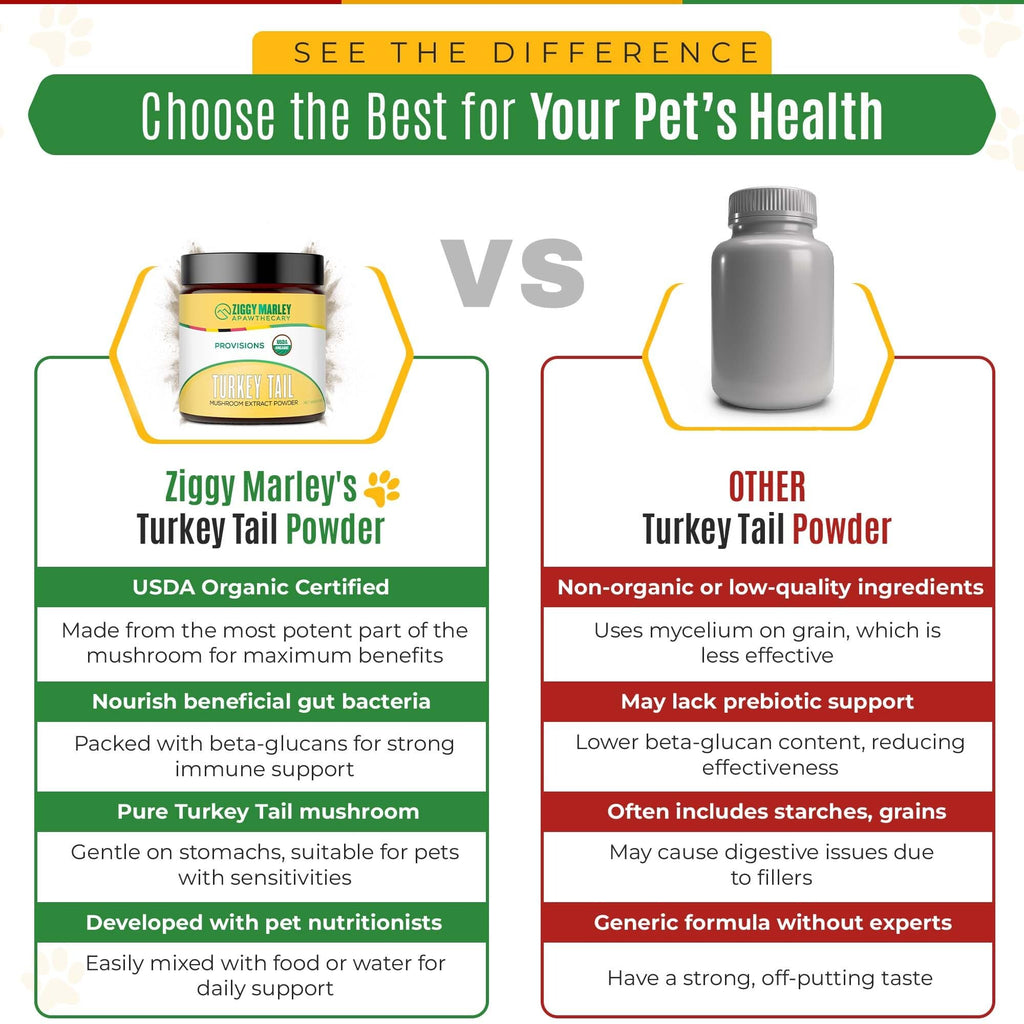 mushroom powder for optimal pet digestion