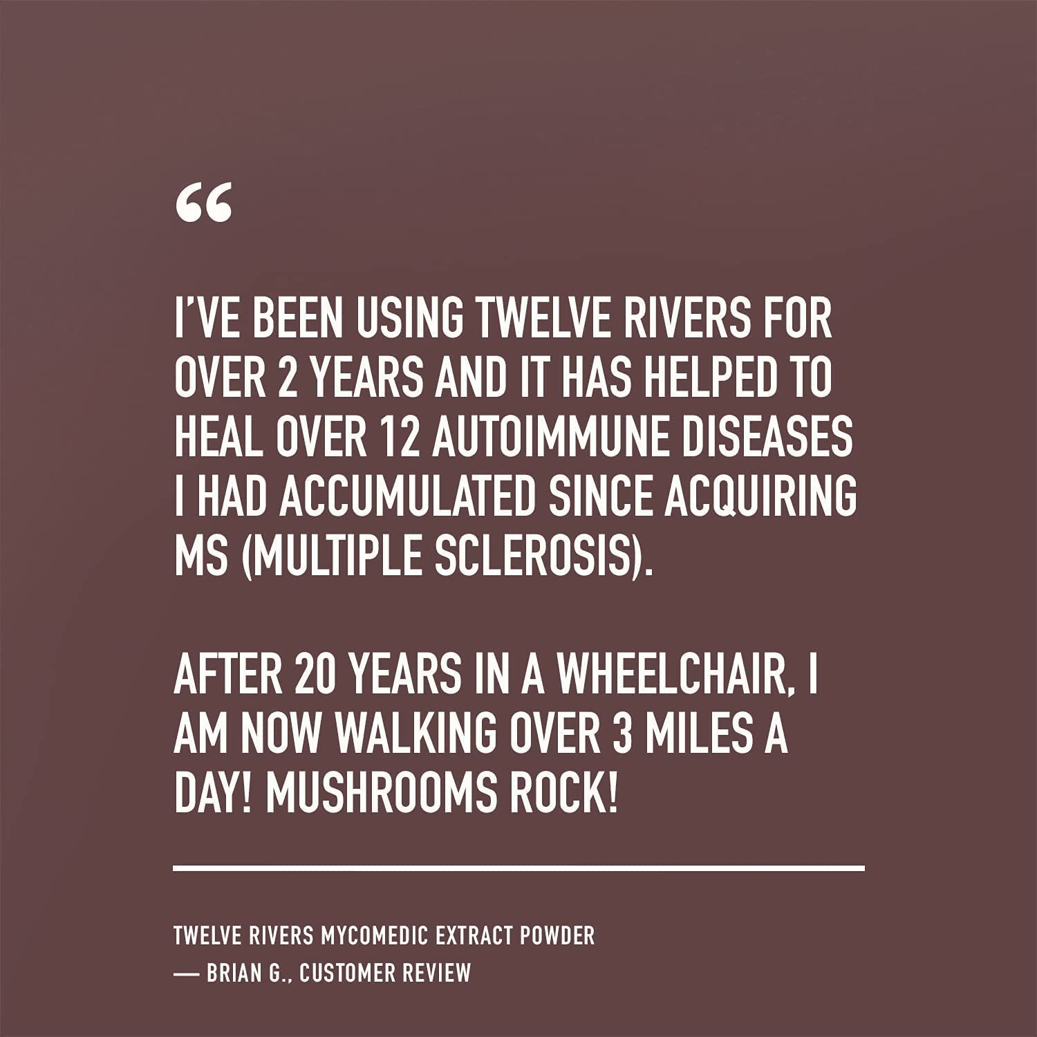 Mushroom powder for overall wellness