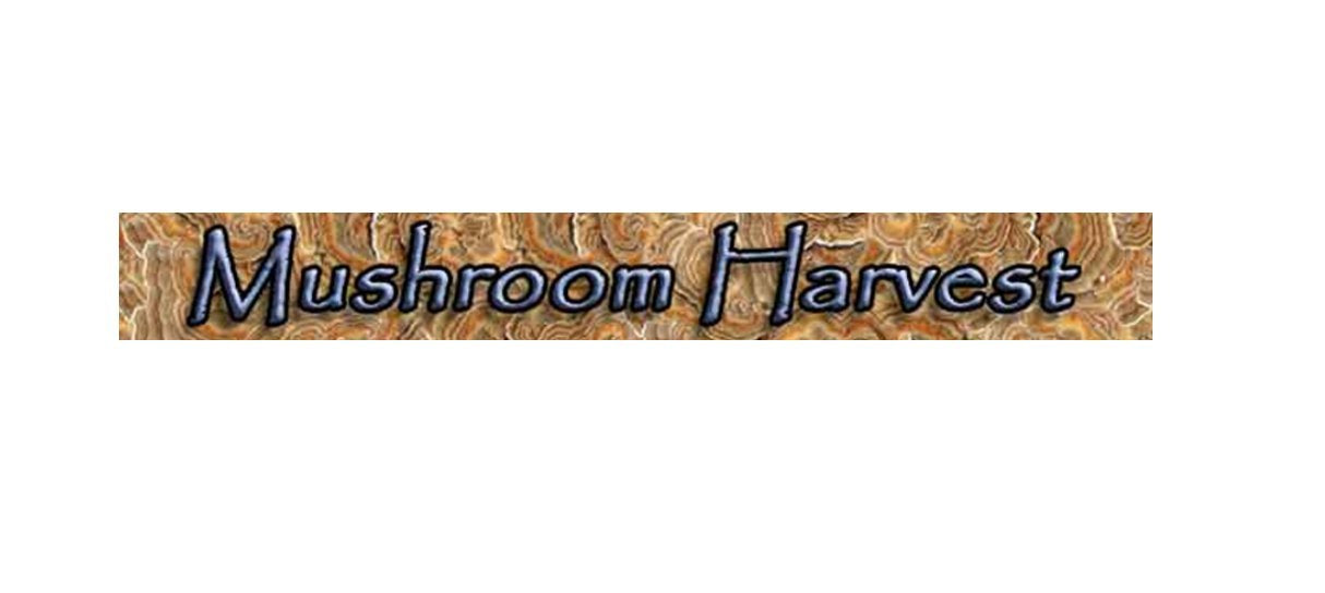 mushroom powder for plant-based diets