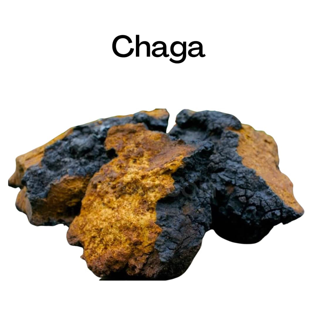 mushroom powder for plant-based diets