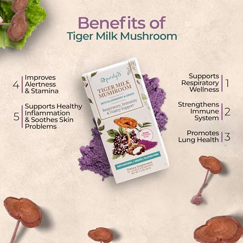 Mushroom powder for respiratory health