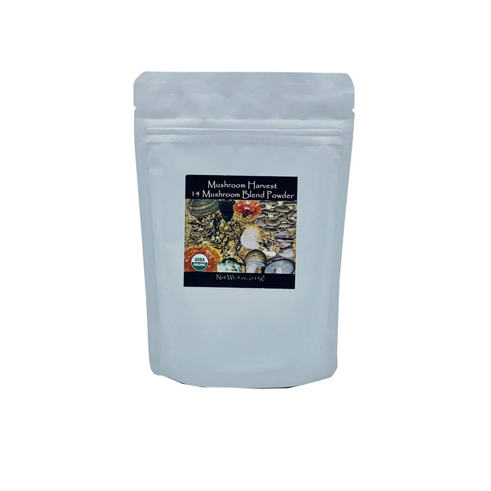 mushroom powder for smoothie recipes