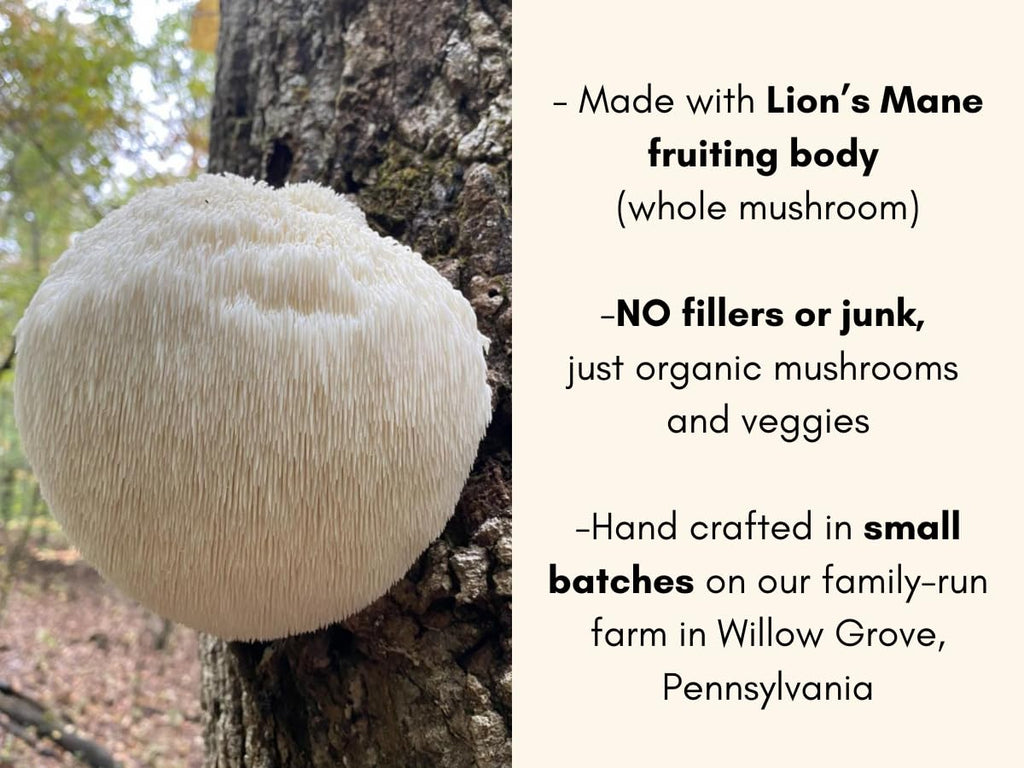 mushroom powder for smoothies and baking