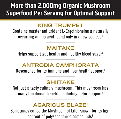 mushroom powder for smoothies and shakes